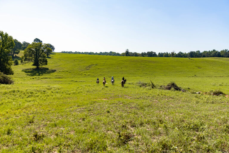 Ranch Resort in East Texas | Home | Dead Cat Ranch