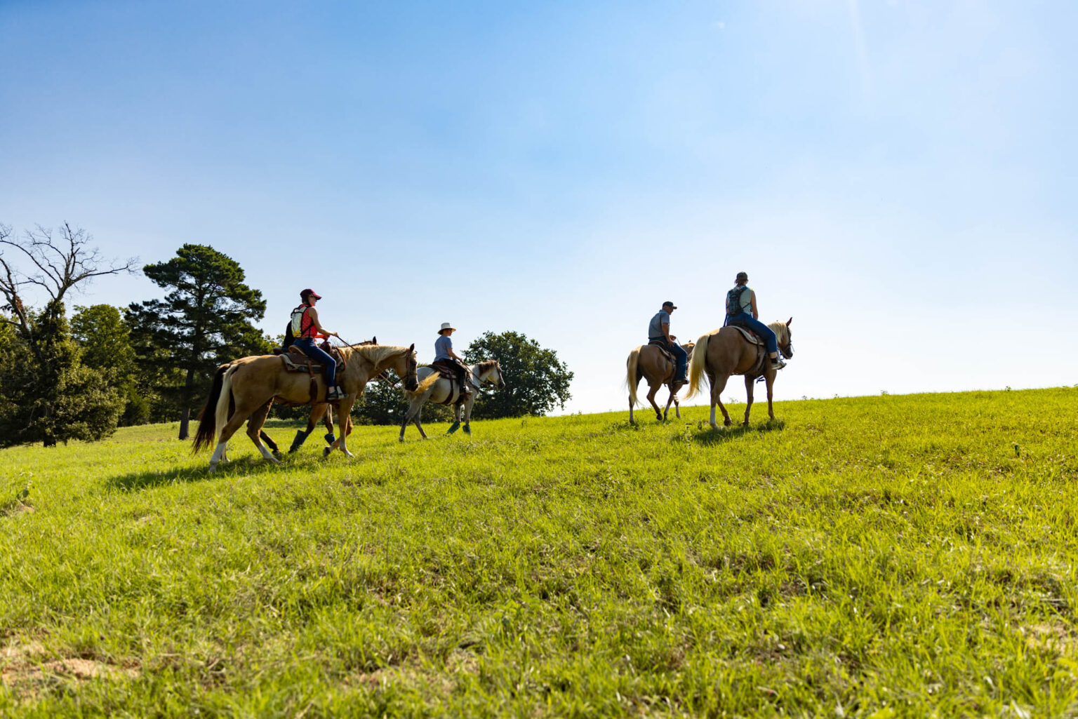 Ranch Resort in East Texas | Home | Dead Cat Ranch