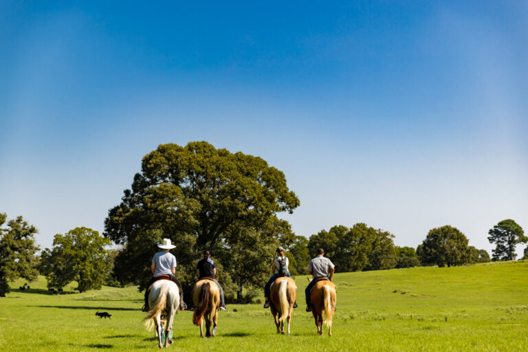 Romantic Getaways in East Texas | Dead Cat Ranch